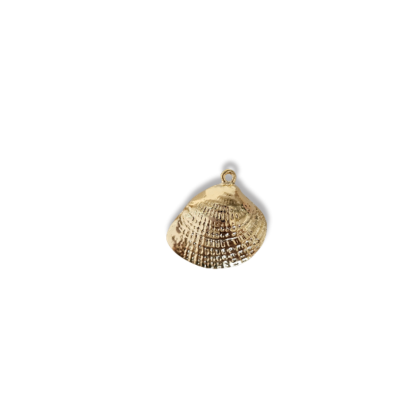Atlantic Shell – W Jewelry
